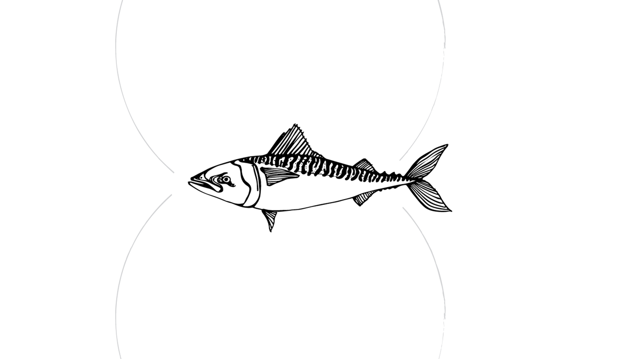 Lesson plans - The Harmony Project