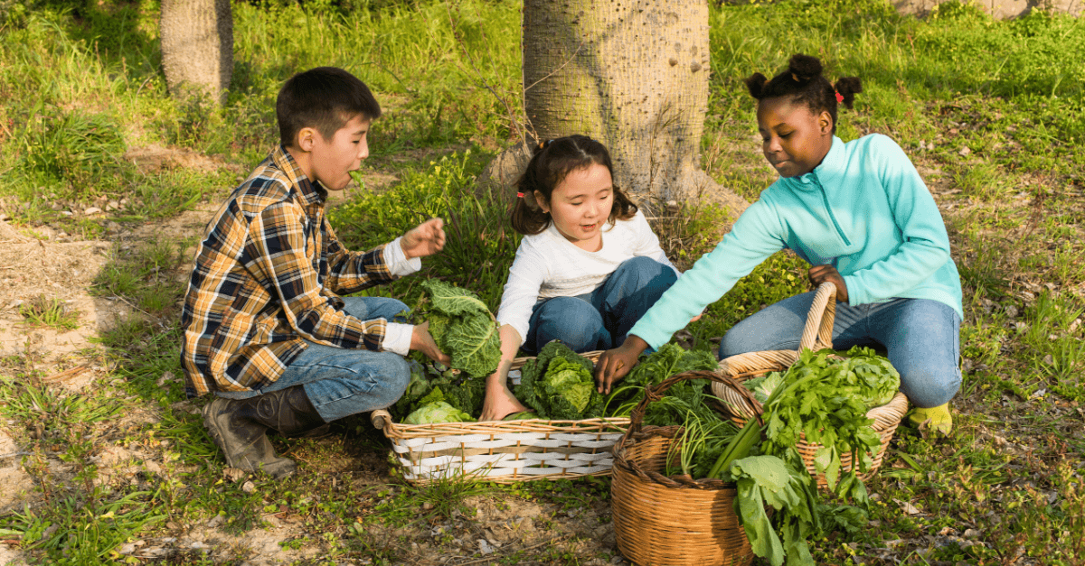A vision for food education and farms as education platforms - The ...