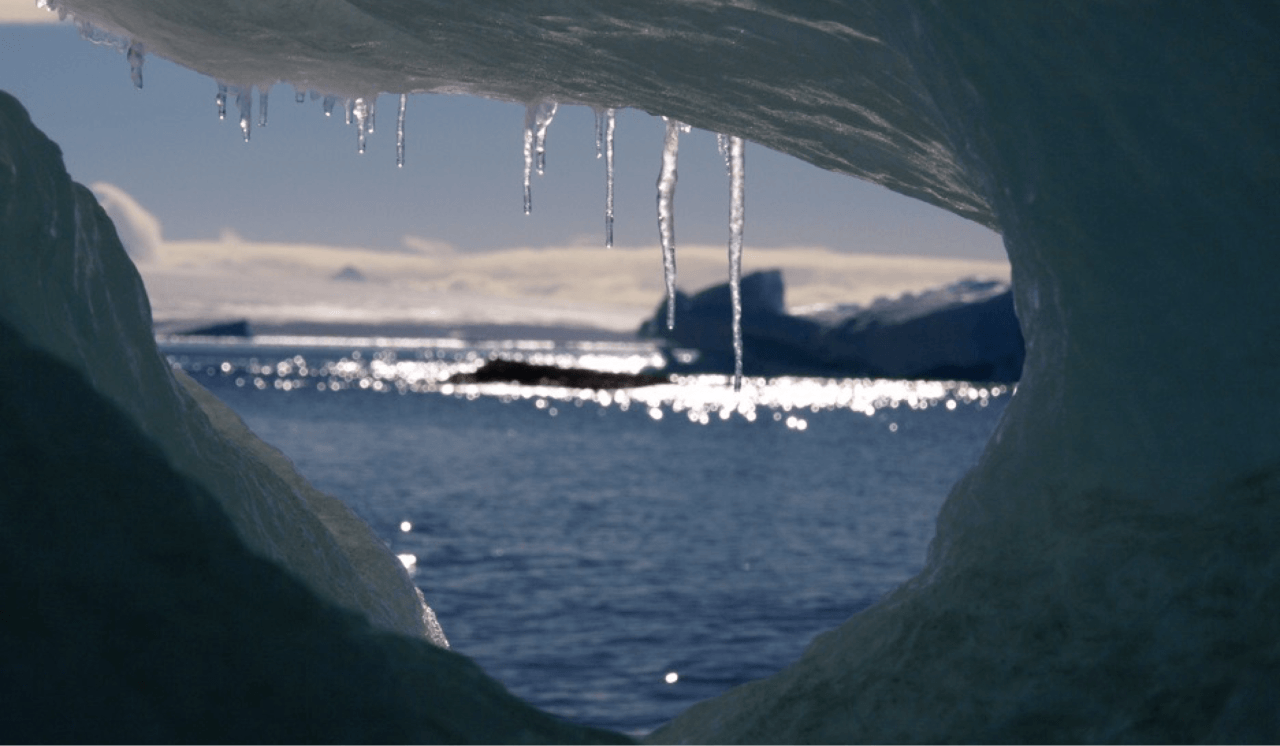 How to put sustainability and Nature at the heart of learning: Energy and climate change - The ...