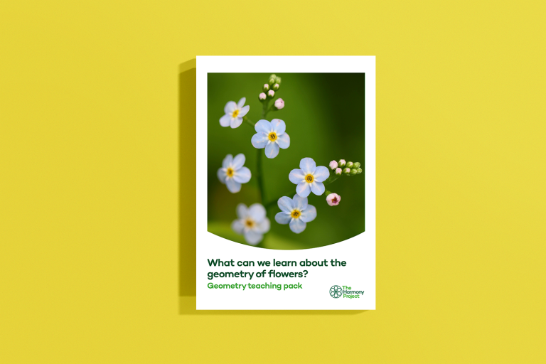 Geometry pack: What can we learn about the geometry of flowers? - The ...